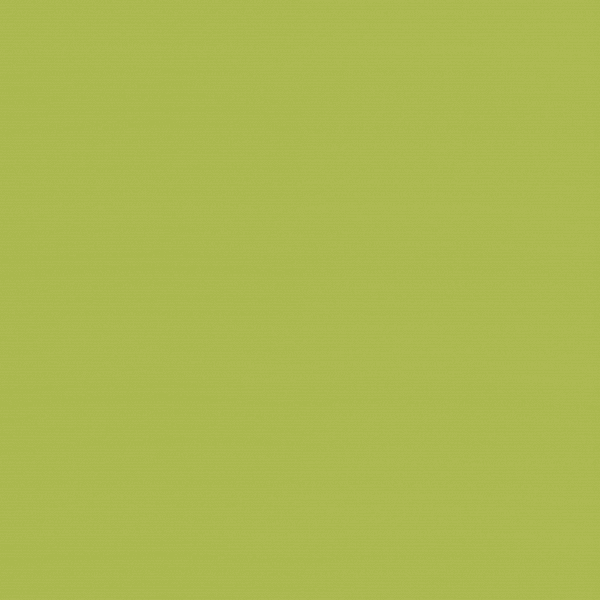 Decora Unilux Lime Roller - Yorkshire Blinds